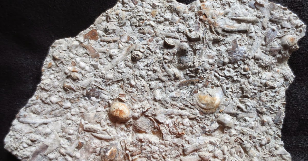 Equatorial Minnesota: Hash slabs