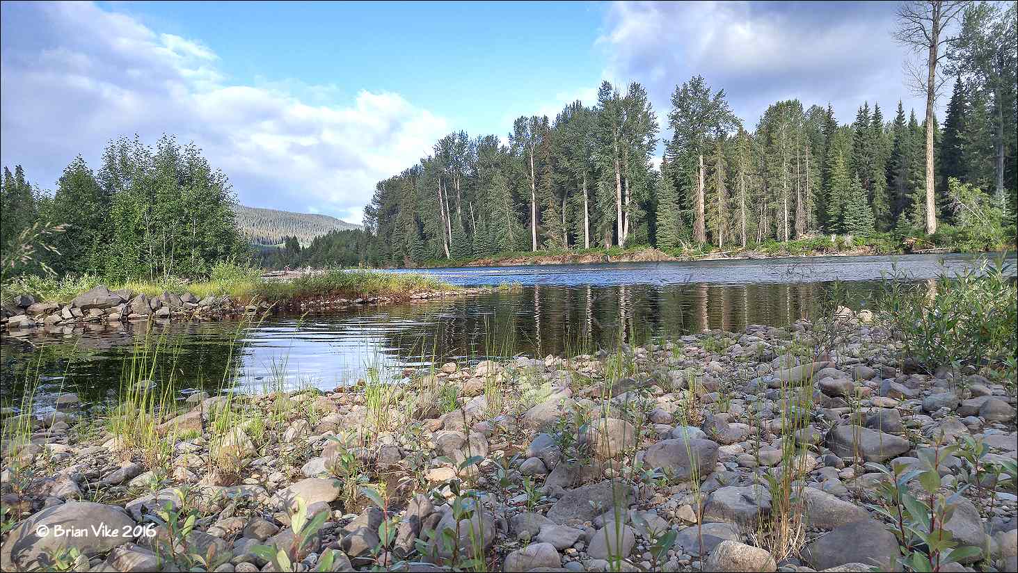 Northern Interior British Columbia: The Morice River And Lamprey Creek ...