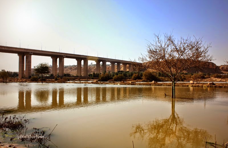 Wadi Hanifah in Winter