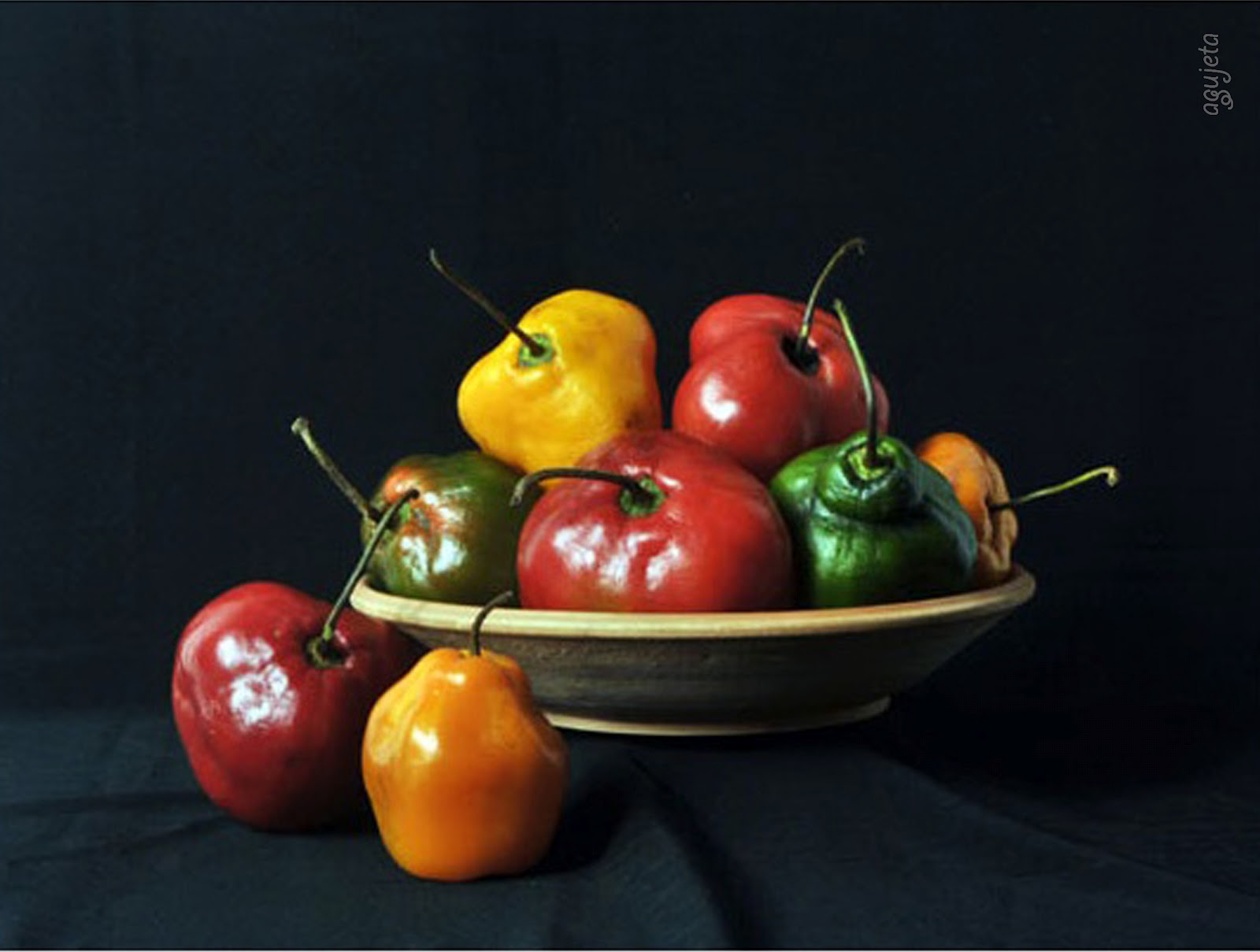 Agujeta Diseño: Fotografía bodegón, moda, paisaje