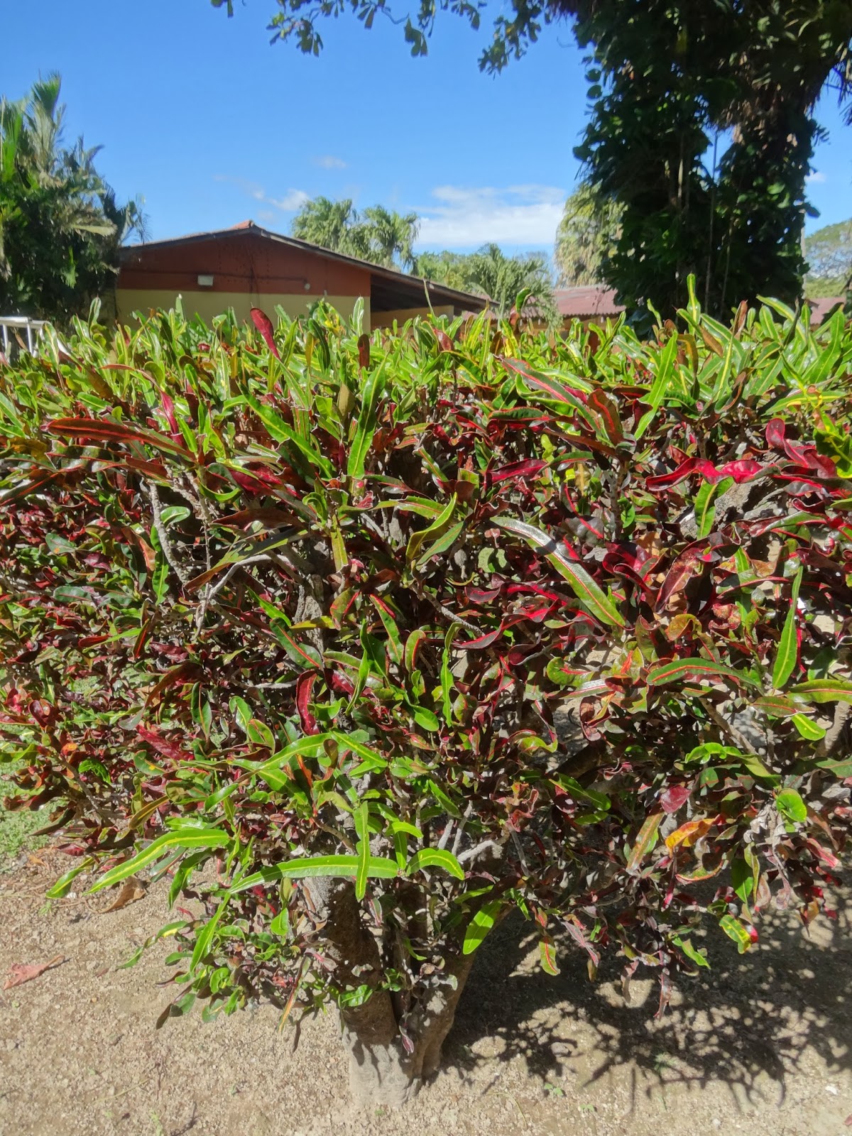 Chasing Dreams On 2 Wheels: December 25, 2013, Liberia, Costa Rica, 32 ...