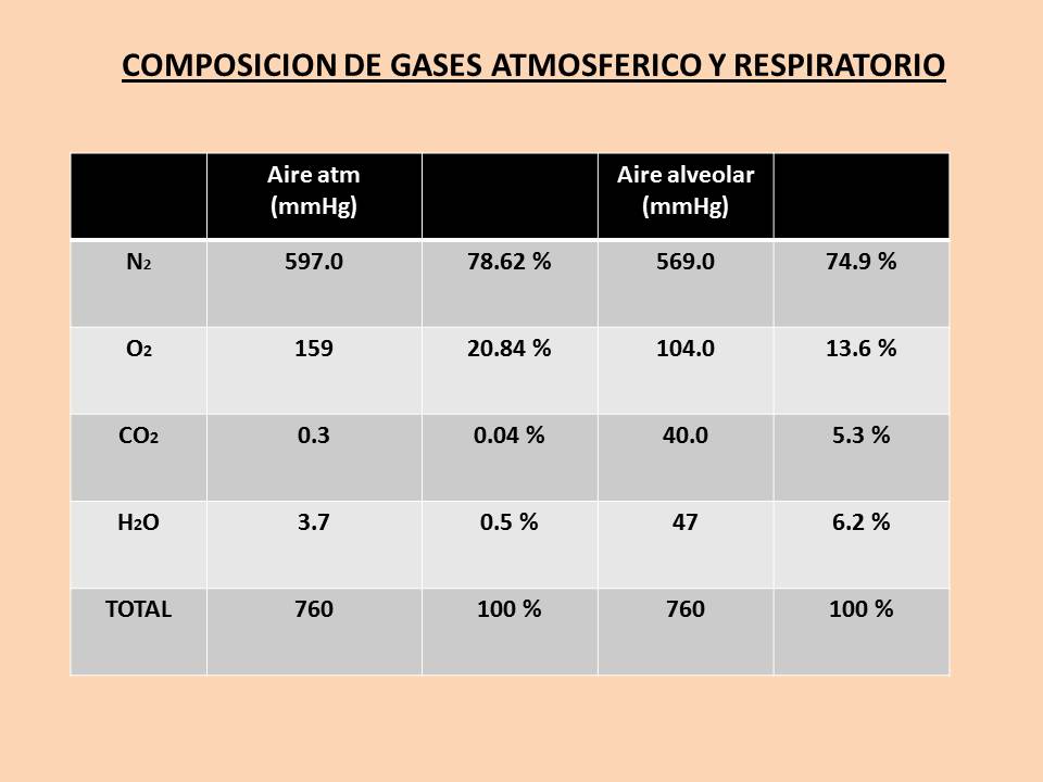 Fisiología de Clarisa Angulo: Ira Fox : "LA COMPOSICION DEL AIRE ...