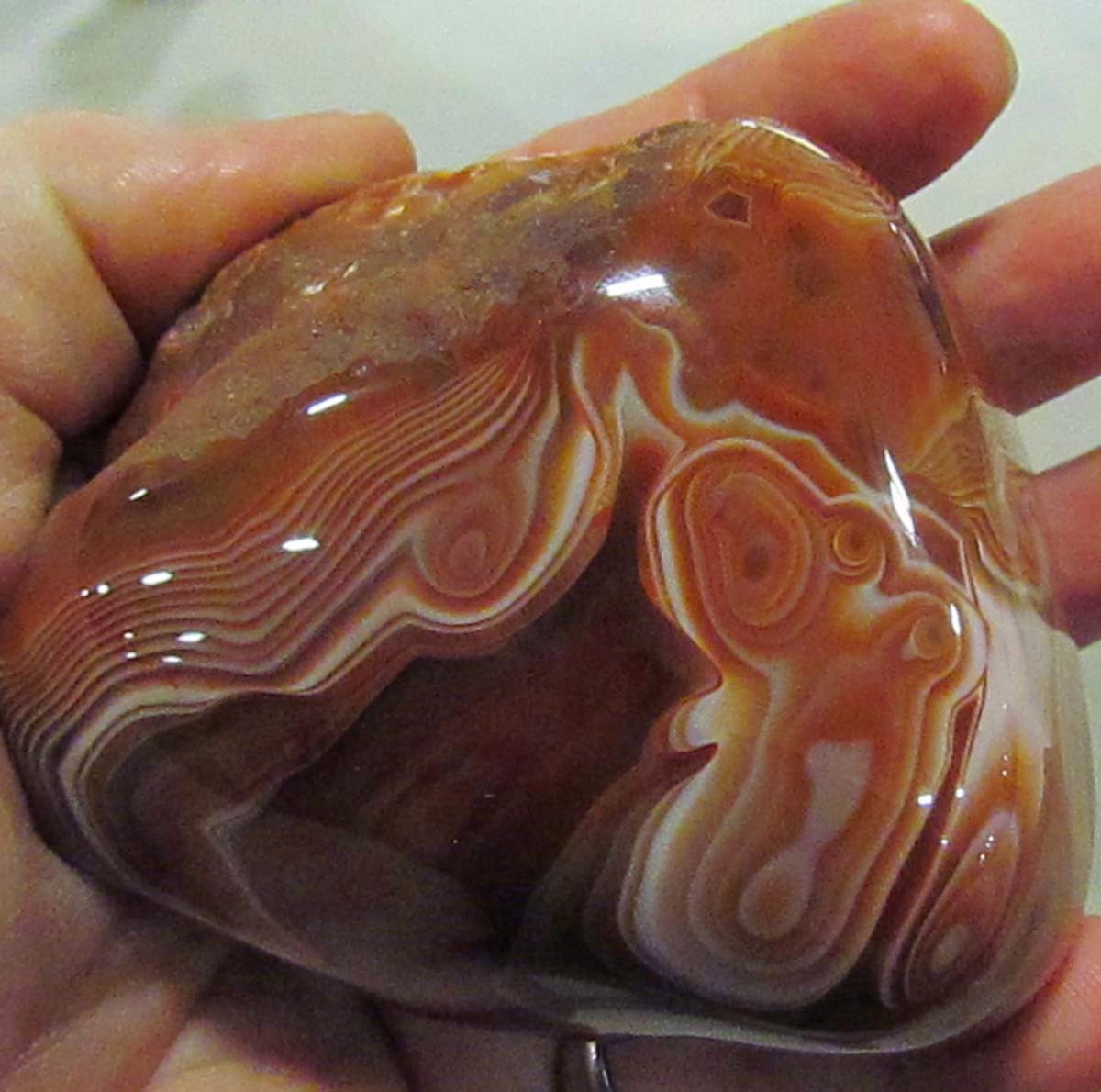 The Agatelady: Adventures and Events: Central Michigan Mineral Gem and ...