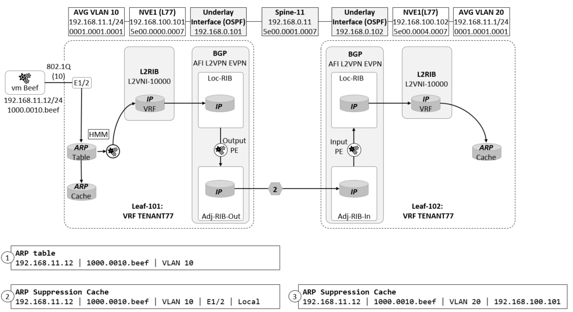 The Network Times: VXLAN Part XV: Analysis of the BGP EVPN Control ...