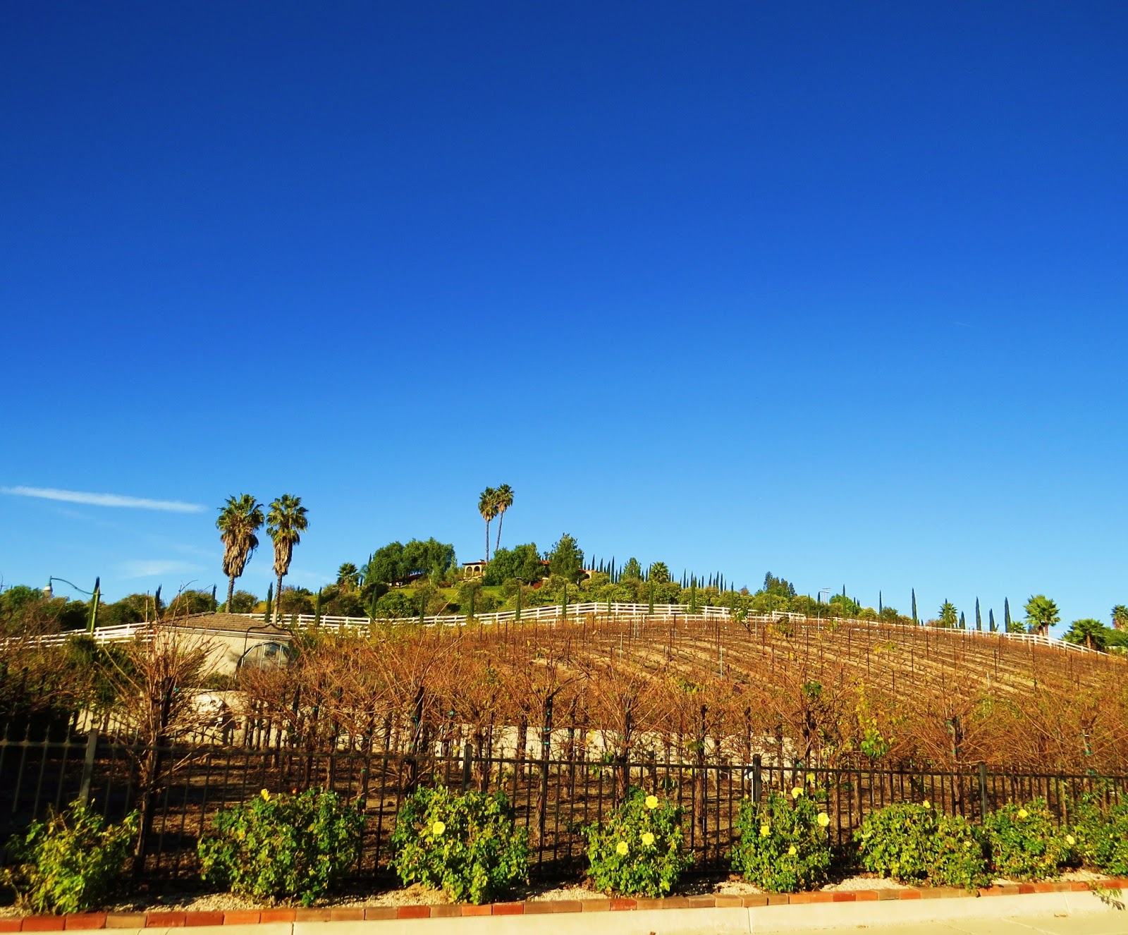 CALIFORNIA DREAMIN': TEMECULA VALLEY WINE COUNTRY, CALIFORNIA