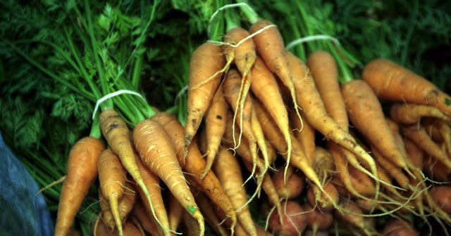 Wortel - ALAMI