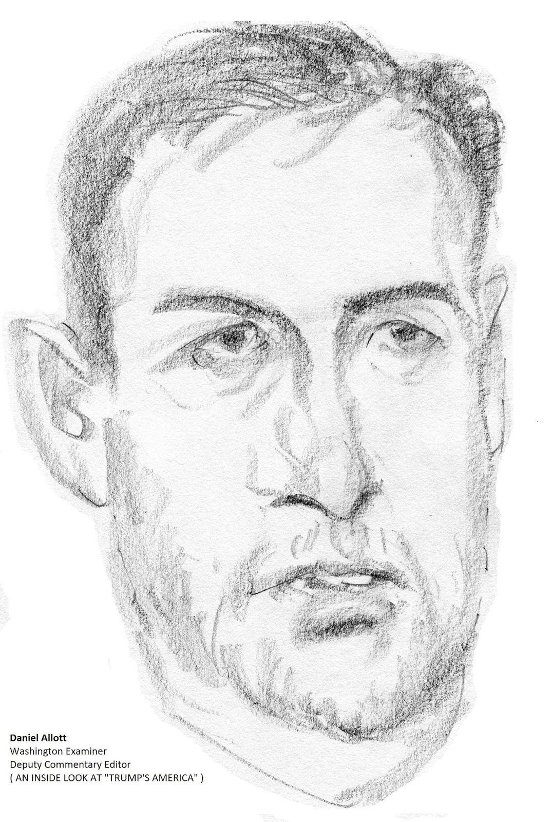 daily drawings: Daniel Allott