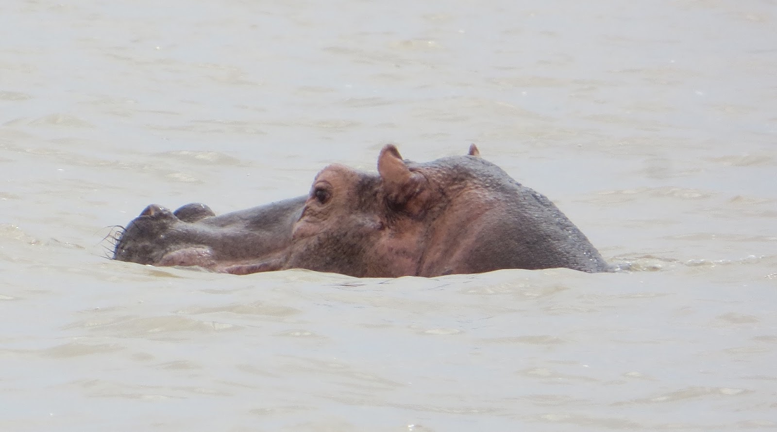 viaggiare per culture: Viaggio in Etiopia - foto 5 (al Parco naturale ...