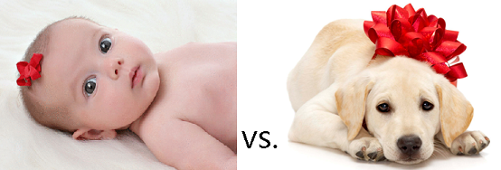 Cooking at Café D: Puppies vs. Babies!