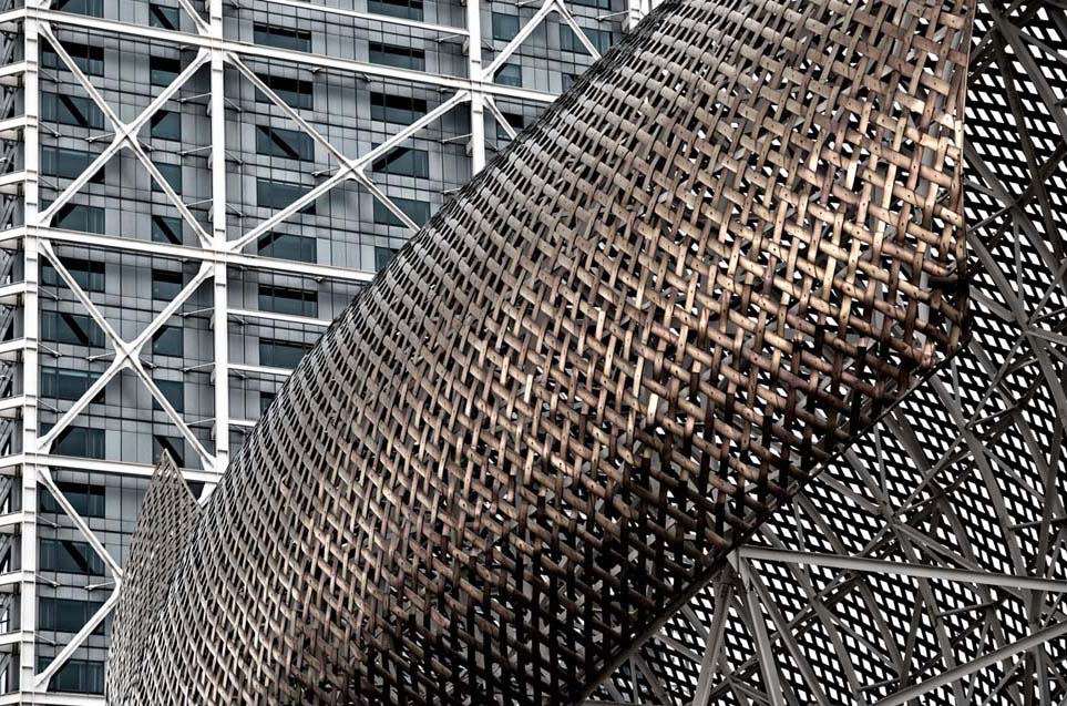 Jorge Rovira: Fish skin / building Structure
