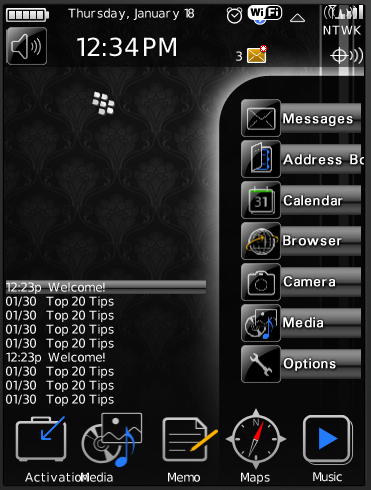 Blackberry Storm 2 Themes