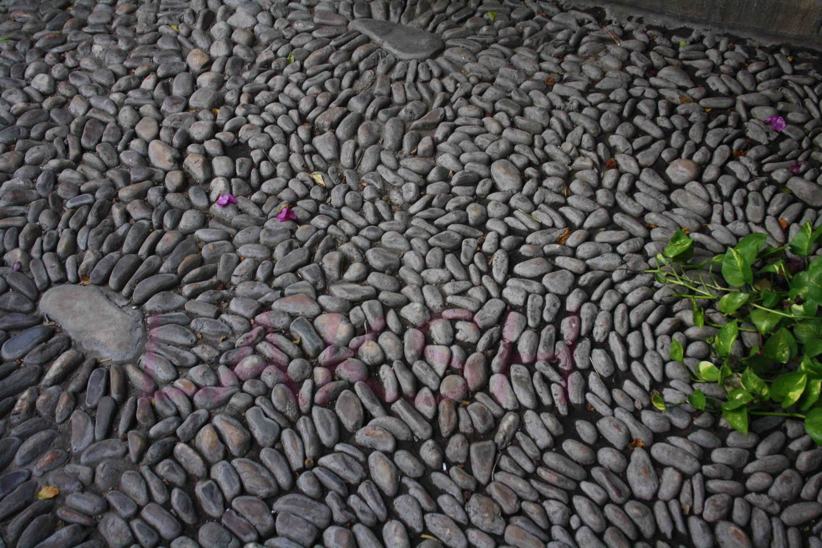 Celebrations Decor - An Indian Decor blog: "Agashiye",House of MG,Ahmedabad