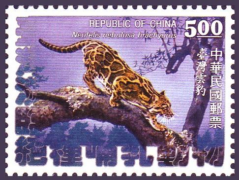 Formosan Clouded Leopard