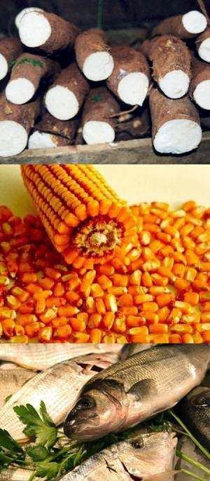 Brasil com Sabor: INFLUÊNCIA INDIGENA NA CULINÁRIA BRASILEIRA