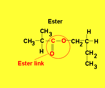 Chemical Science: Ester Chemistry