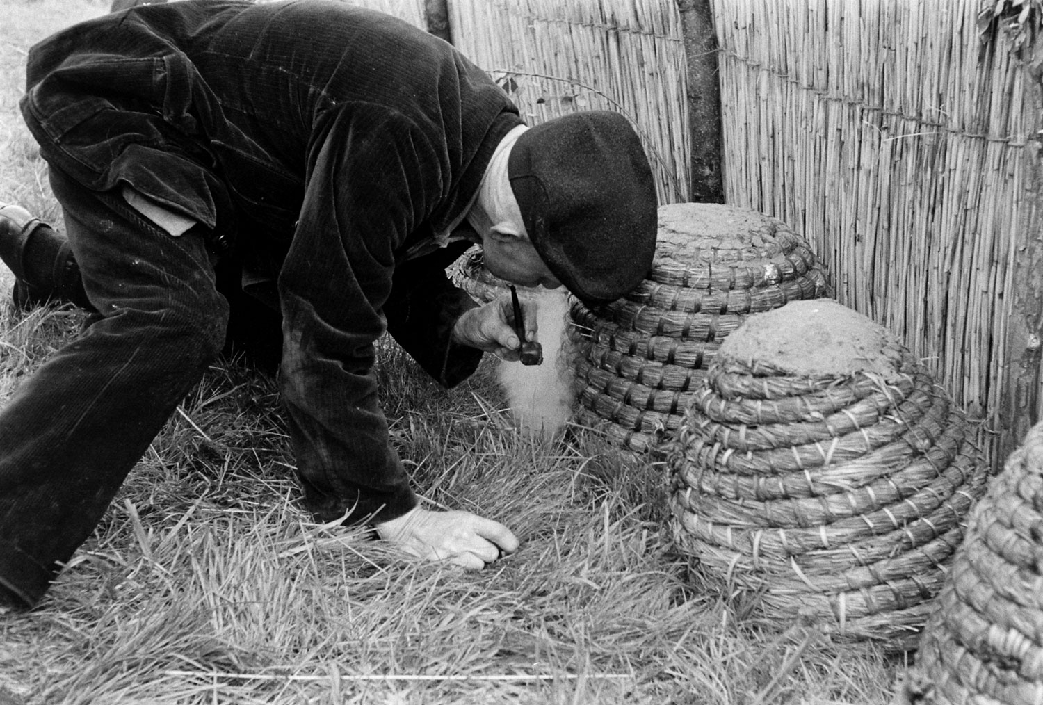 Beekeepers of the 1950s: Vintage Photos From a Busy Bee Market in the ...