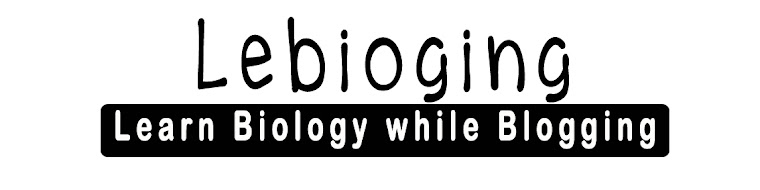 lebioging.blogspot.com: MUTASI