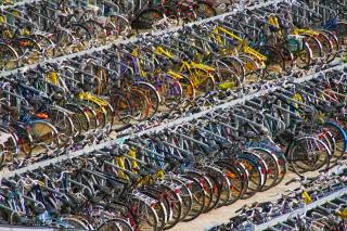 The Bike With the Chrome Dipped Frame