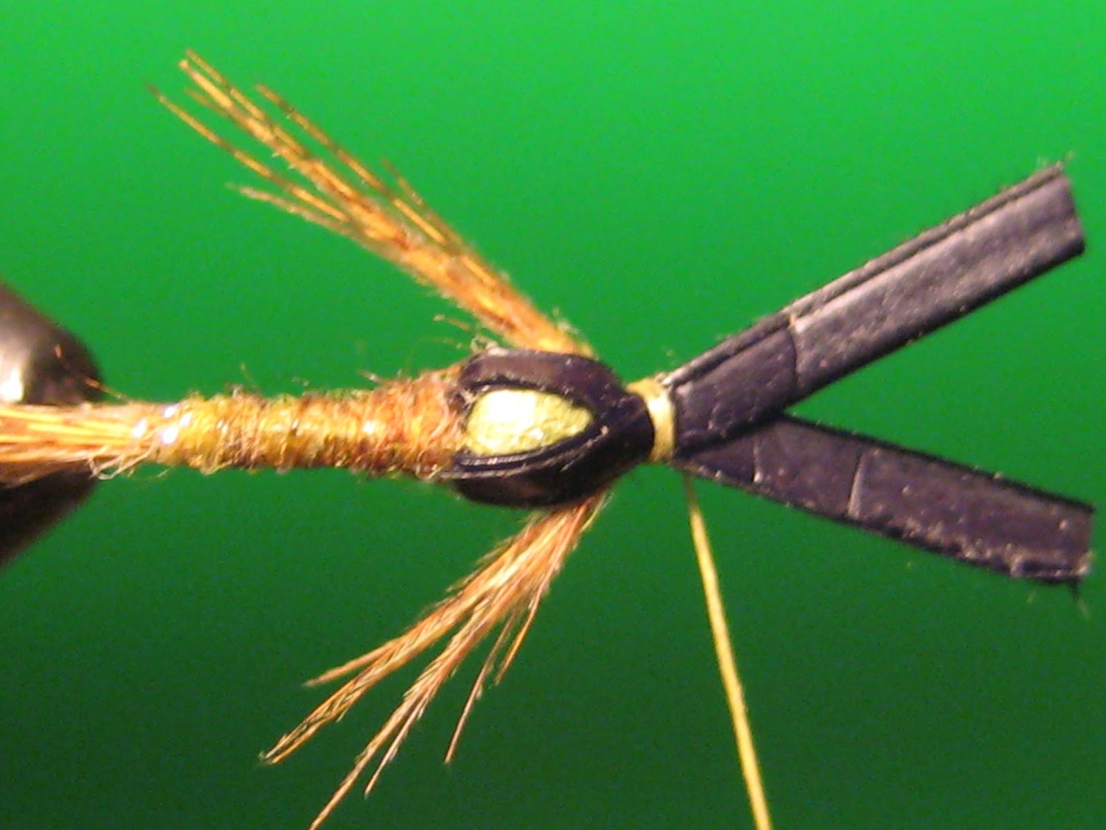 My Trout Fly: Split wing case BWO nymph