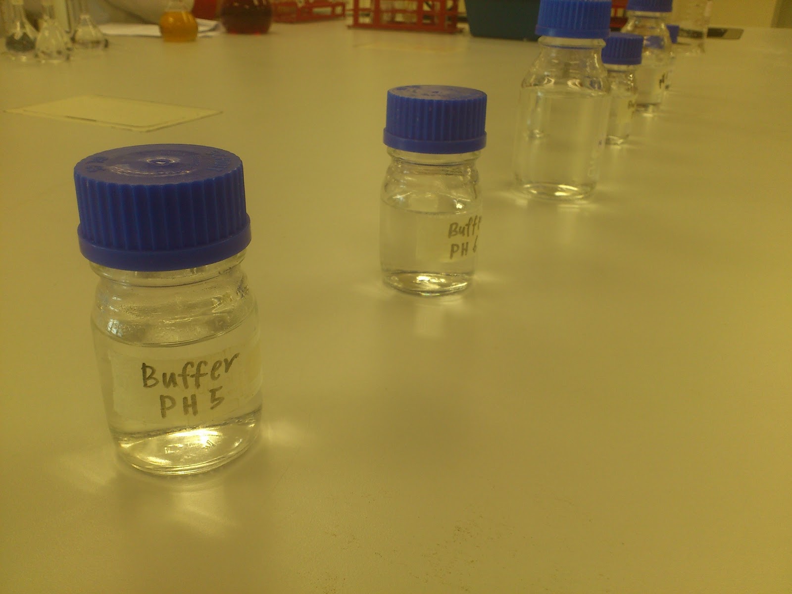 Biochem: The Odd, Crazy But Fun: FUN EXPERIMENT 3 : Enzyme
