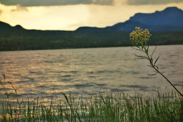 Susticacán, Zacatecas. - MochileroMX