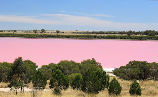 La ciencia desde otro punto: El lago rosa.