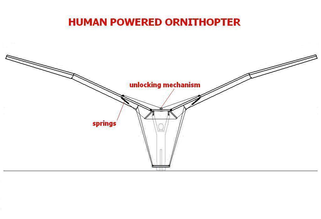 Flapping Wing: HUMAN POWERED ORNITHOPTER