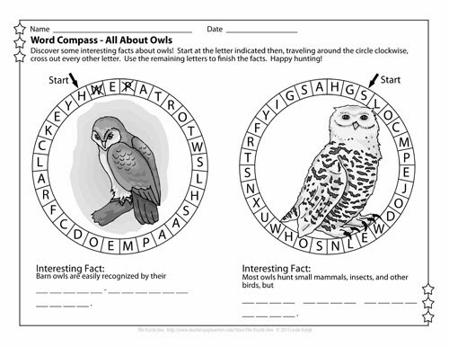 The Puzzle Den: Word Compass Puzzles