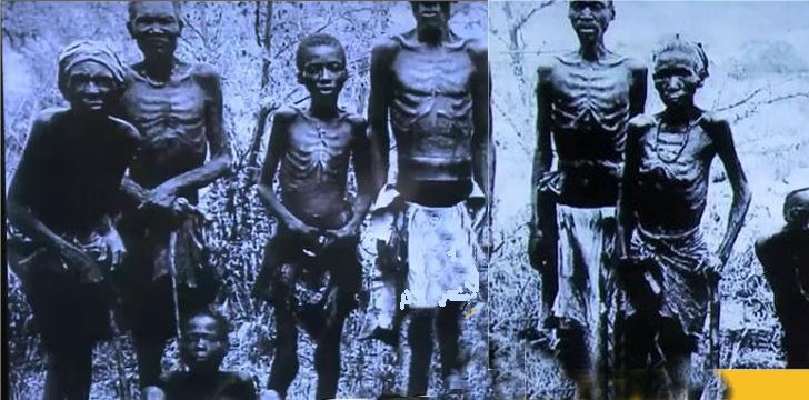 EXIT CAPITALISM: Congo Rubber Monopoly