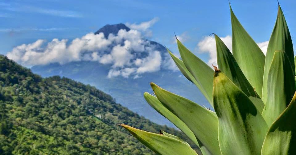 Birding Is Fun!: Discovering Antigua