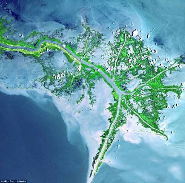 Delta sungai di lihat dari satelit