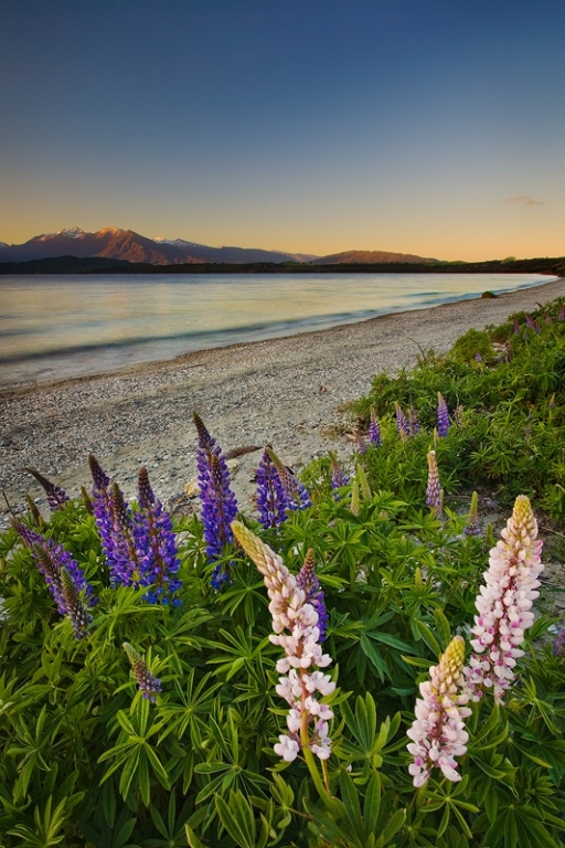 Nova Zelândia - New Zealand VIAJAR é alargar os nossos horizontes ...