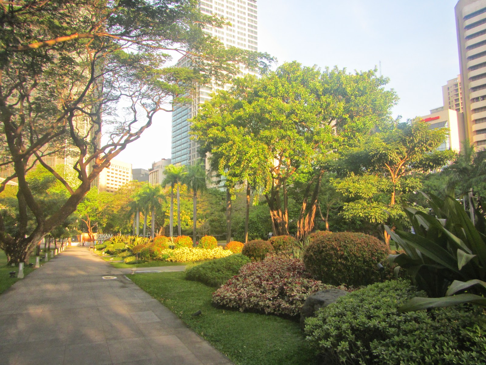 LEXICAL CROWN: AYALA TRIANGLE GARDENS