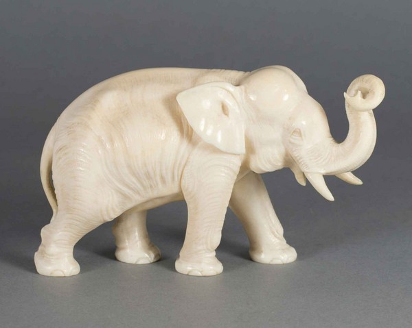 Memórias e Imagens: Bodas de marfim!