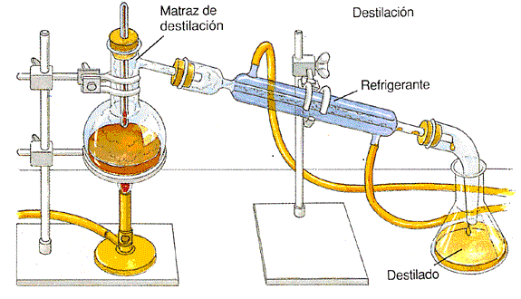 Aula Virtual Colegio Moralba-Ciencias: DECIMO