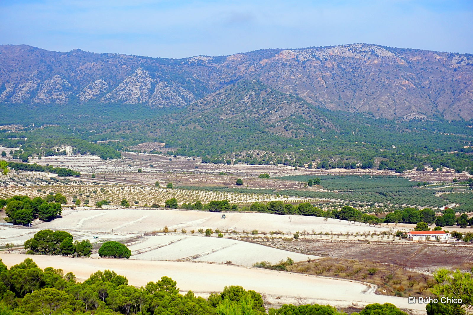 El Búho Chico: Sierra de la Sima