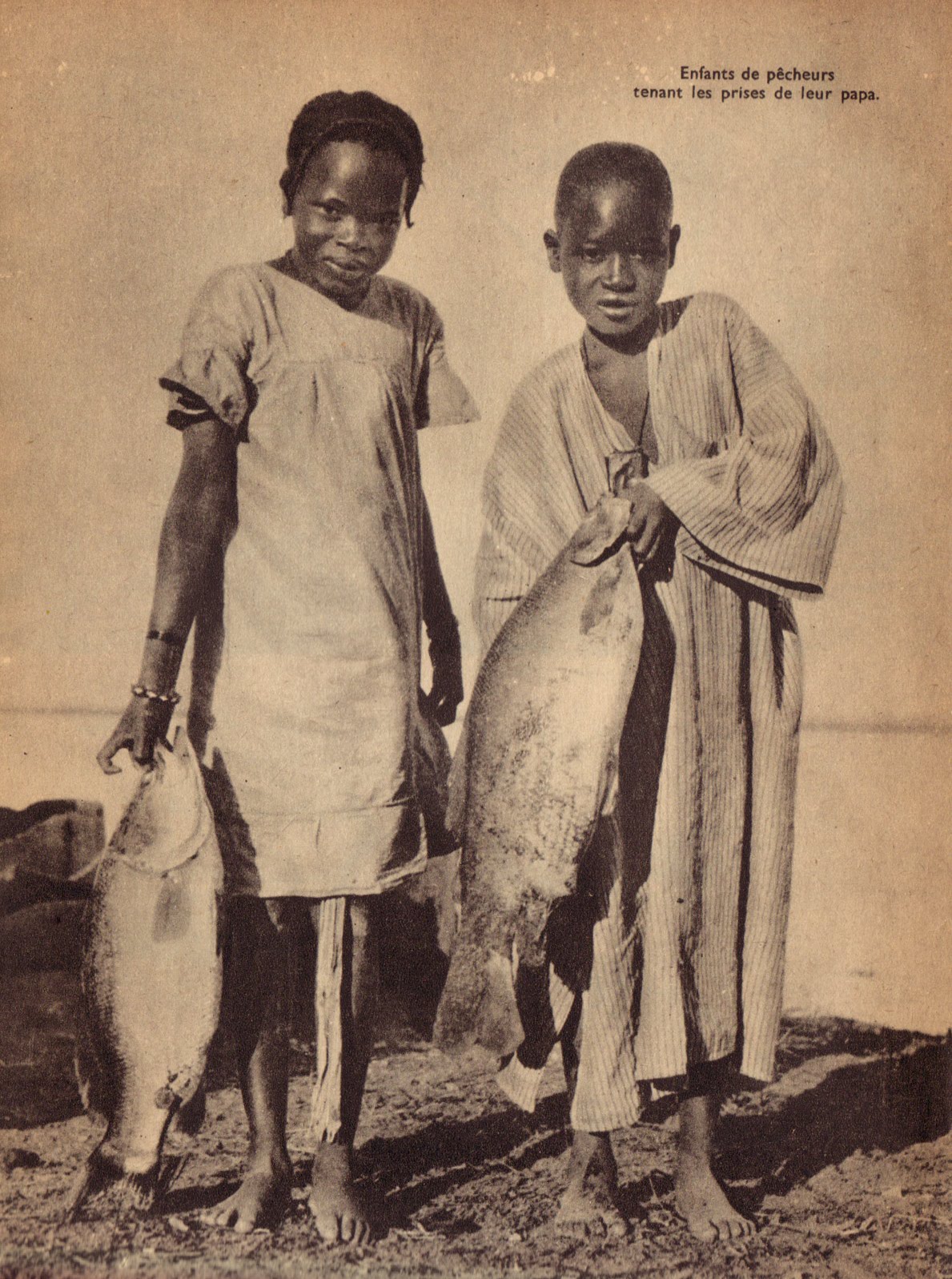 V L A O T C H O S E !: LES NÉGRILLONS ENTHOUSIASTES