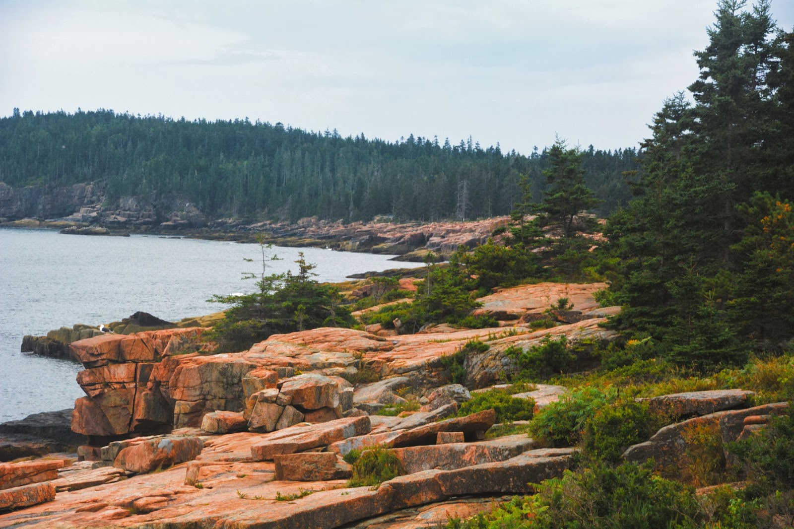 My World in Pennsylvania and Beyond: Acadia National Park Rocks