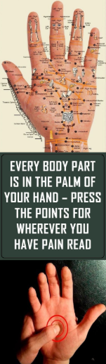 EVERY BODY PART IS IN THE PALM OF YOUR HAND – PRESS THE POINTS FOR ...