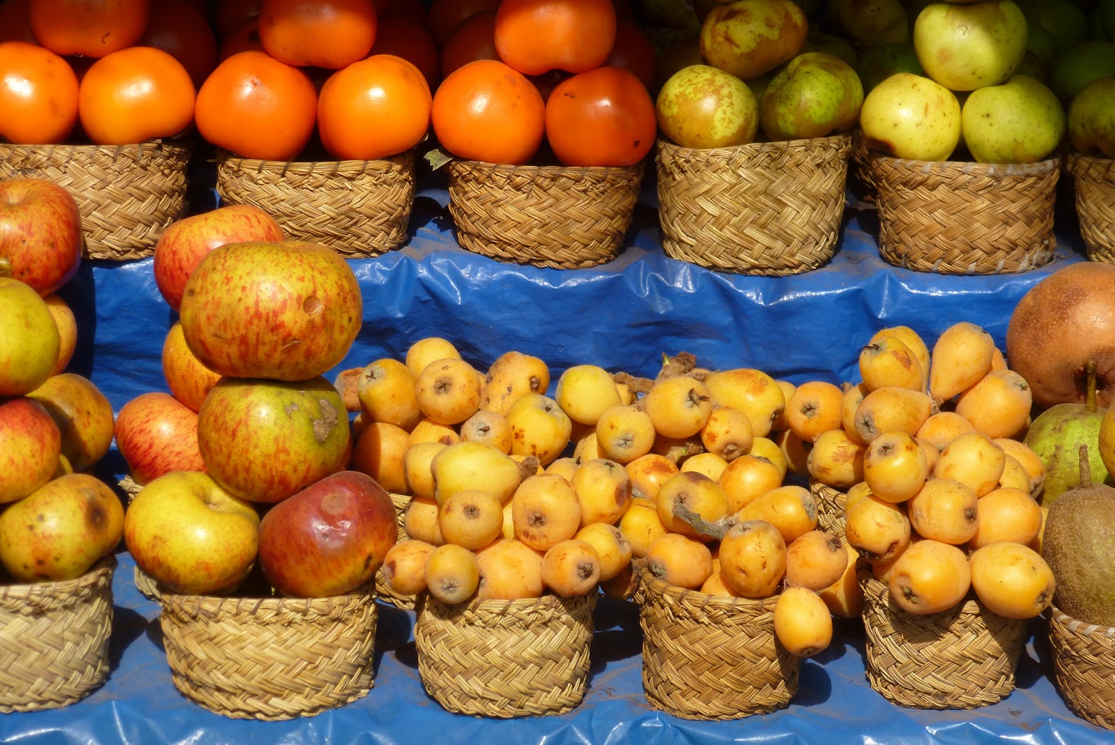 Séjour Madagascar 2013