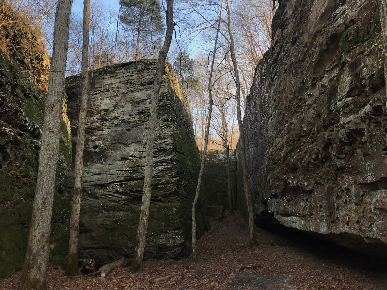 Illinois Botanizer: River to River Trail across southern Illinois Day 8 ...