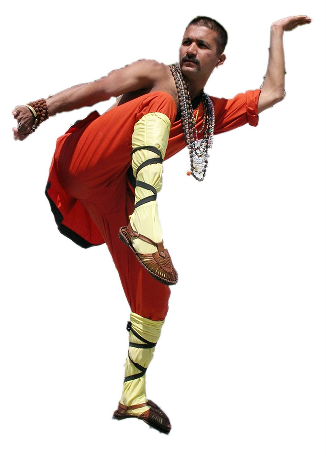 SHIFUJI'S INDIAN & SHAOLIN FUSION KUNG-FU: SHIFUJI SHIFU JI,Shifuji ...