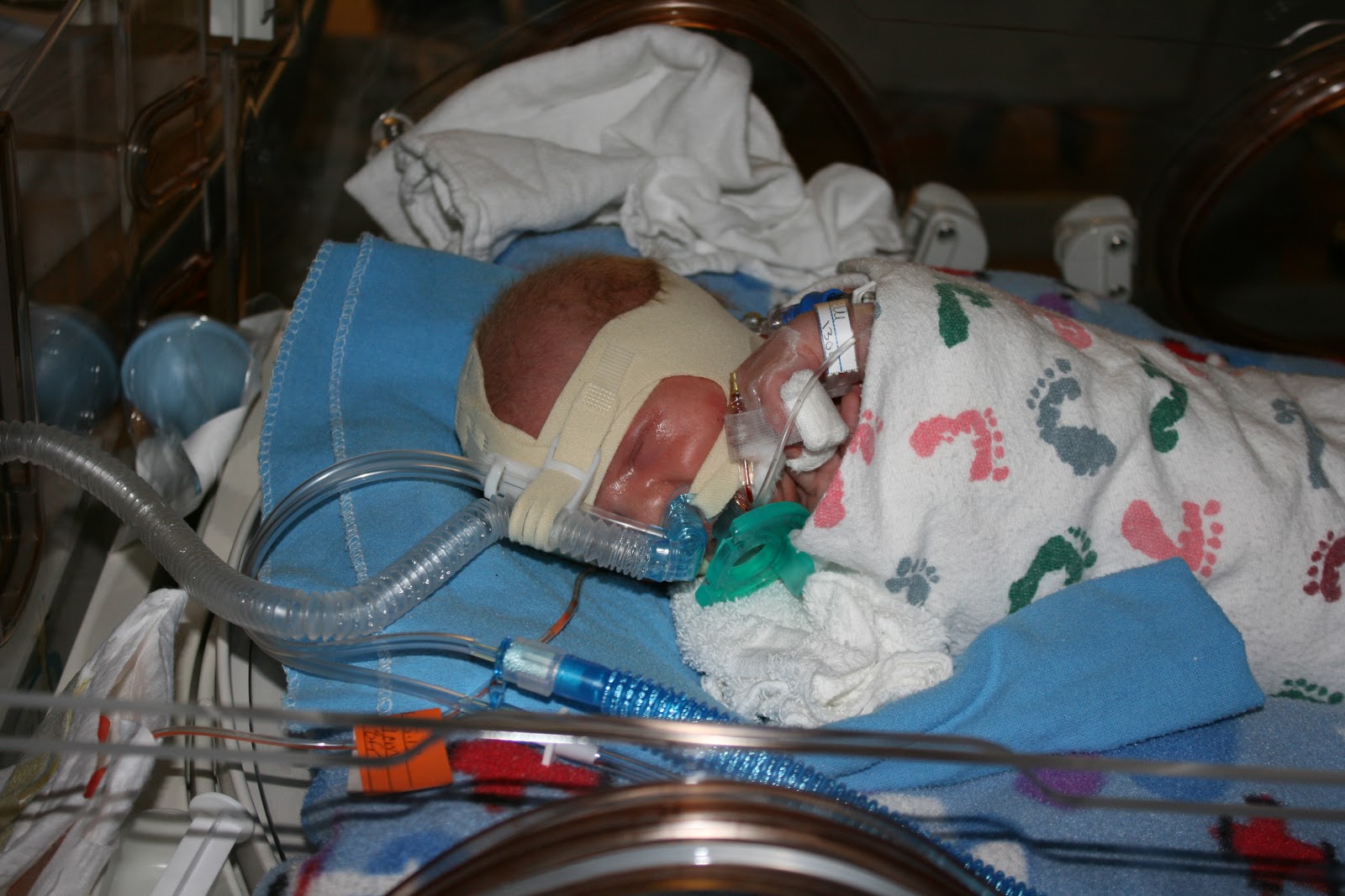 Egbert Family Blog: Liam is here!