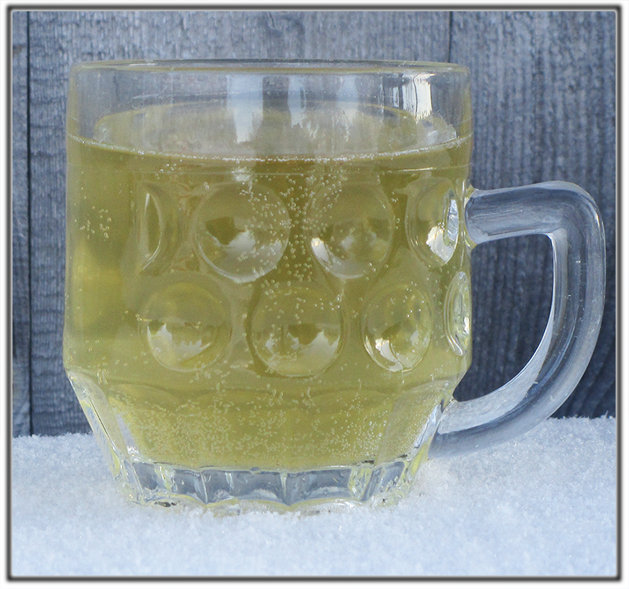 Gör egen kombucha! Scoby svamp till salu, skickas med vanlig post på 1 ...