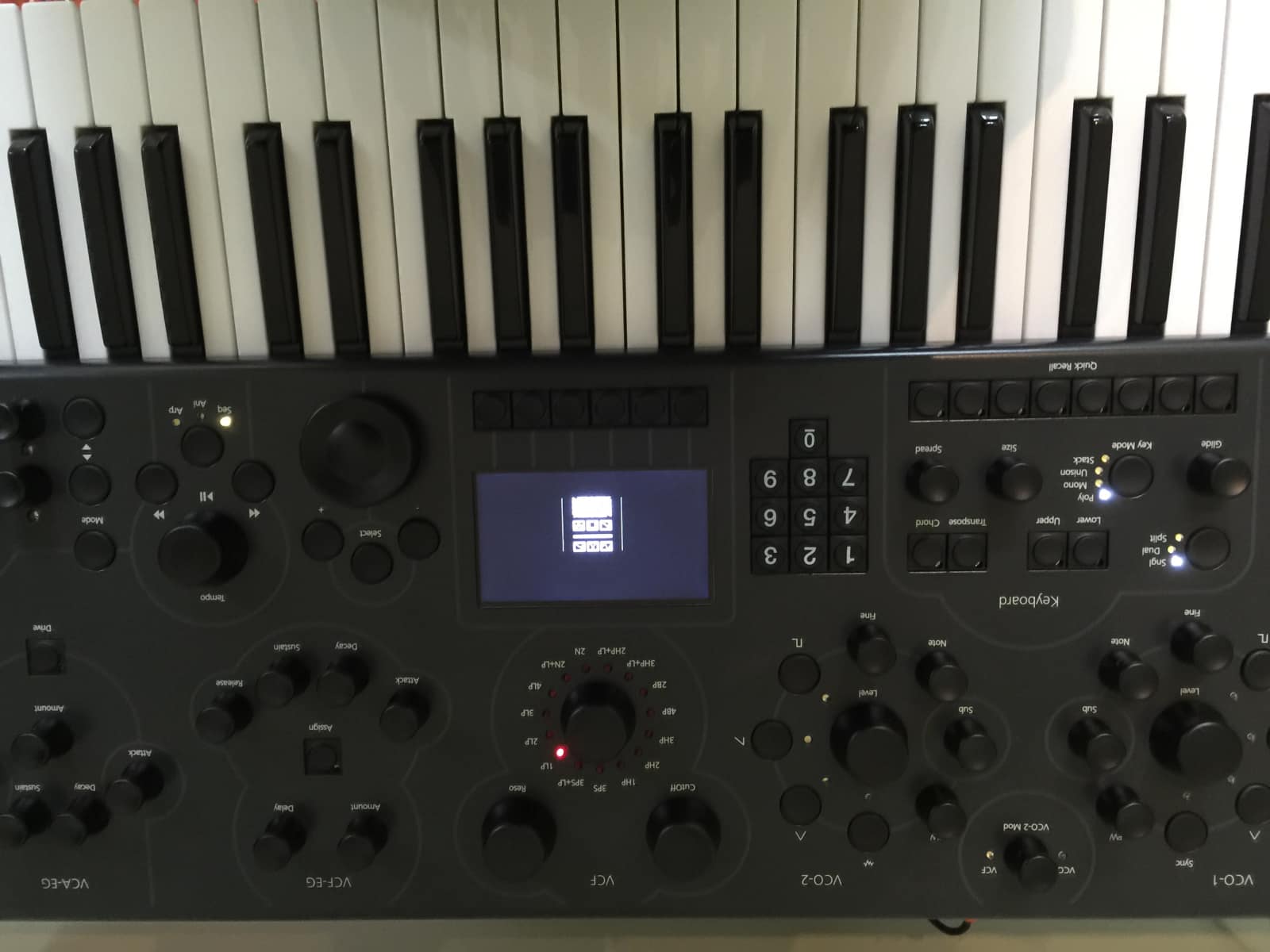 MATRIXSYNTH: Modal Electronics 008