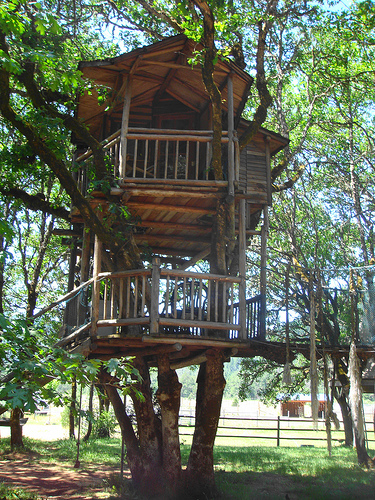 Pictures of Tree Houses and Play Houses From Around The World, Plans ...