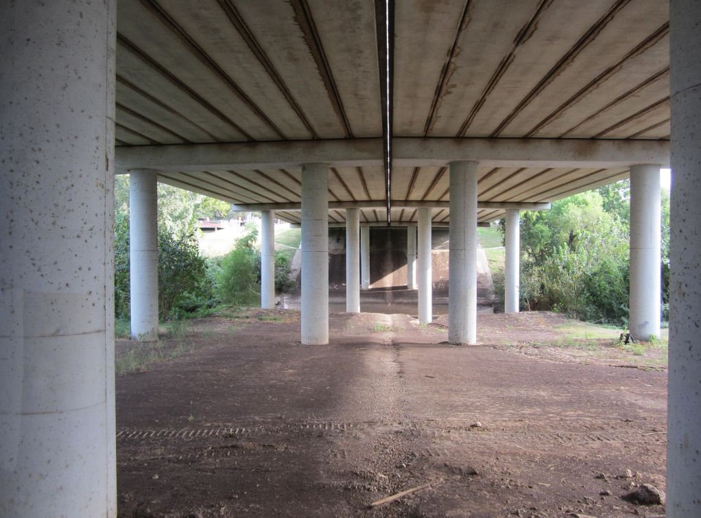 Houston in Pics: Houston Bat Colony: