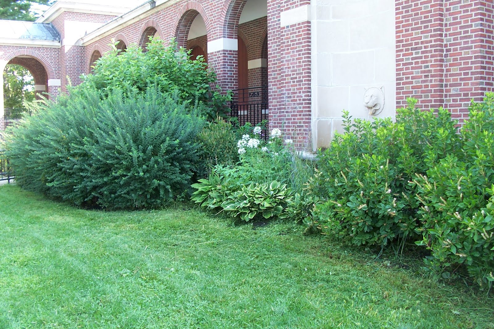 Save The Victoria Pool Society: thank you staff of saratoga spa state ...