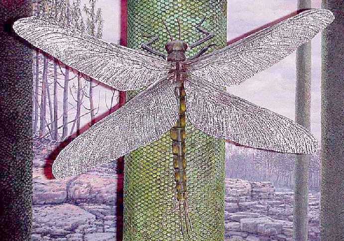 LAND OF THE DEAD: THE MAGNIFICENT, GIANT (AND UNFORTUNATELY EXTINCT ...