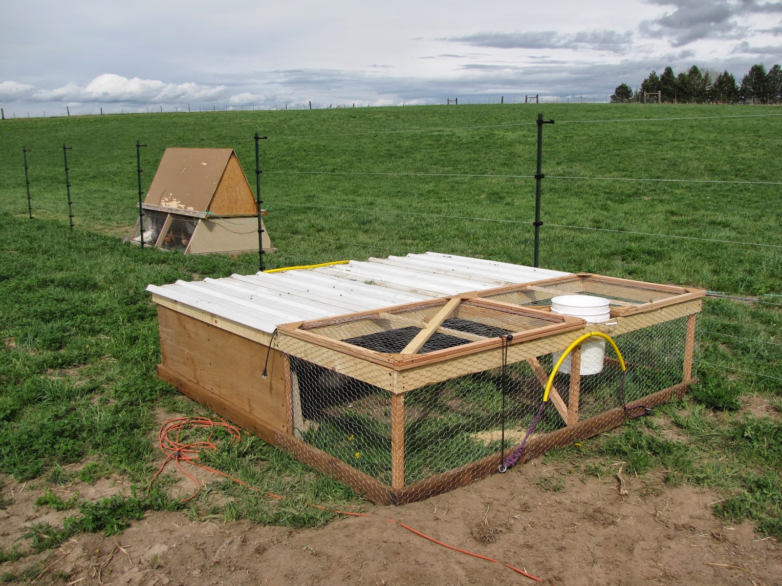 Summerfield Acres Farm: Pastured Meat Chickens